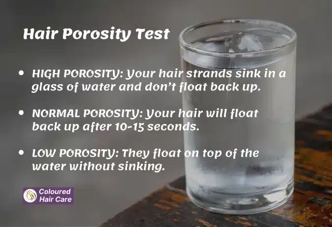 How To Test Your Hair Porosity - The Easy Way [Expert Method]