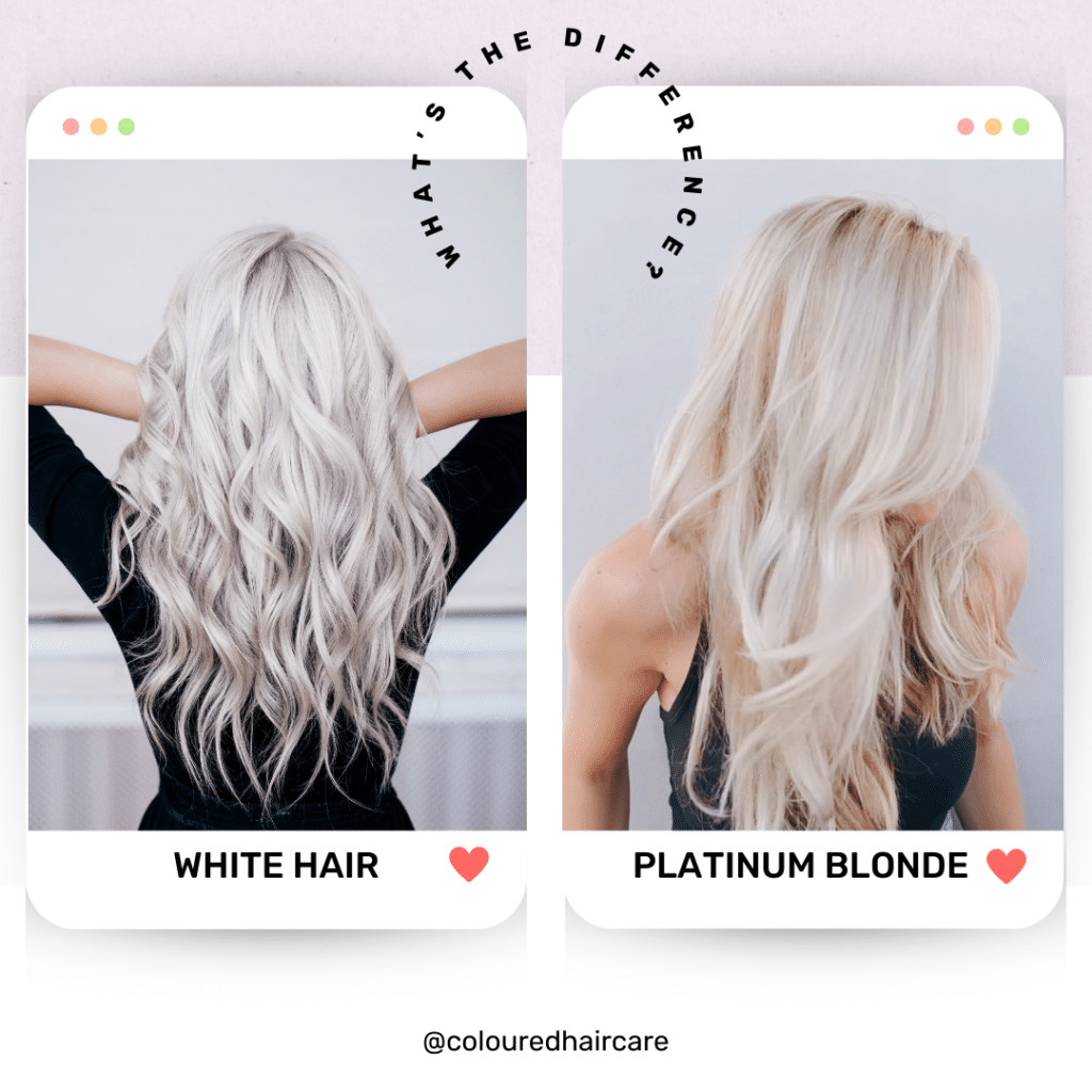 Platinum White Hair Platinum Blonde Is THE Hair Colour For Winter