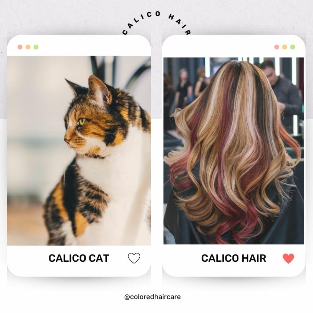 Get Ready To Rock The Calico Hair Craze: Check Out 2024's Hottest Hair ...