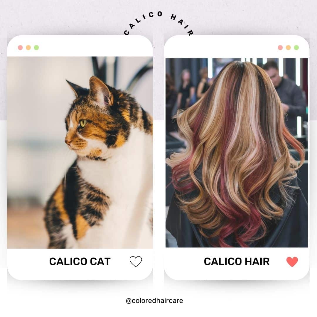 Get Ready To Rock The Calico Hair Craze: Check Out 2024's Hottest Hair ...