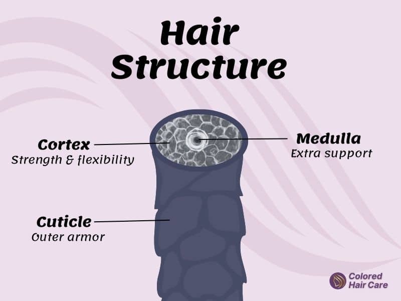 The Shocking Truth About What Summer Does To Your Hair (And How To Fix It).